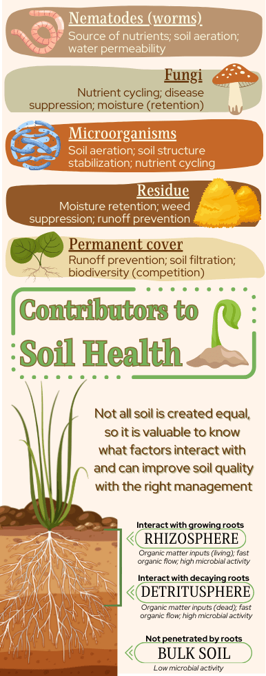 Soil Health: Can Agriculture Be A Positive Influence? - SAIFood